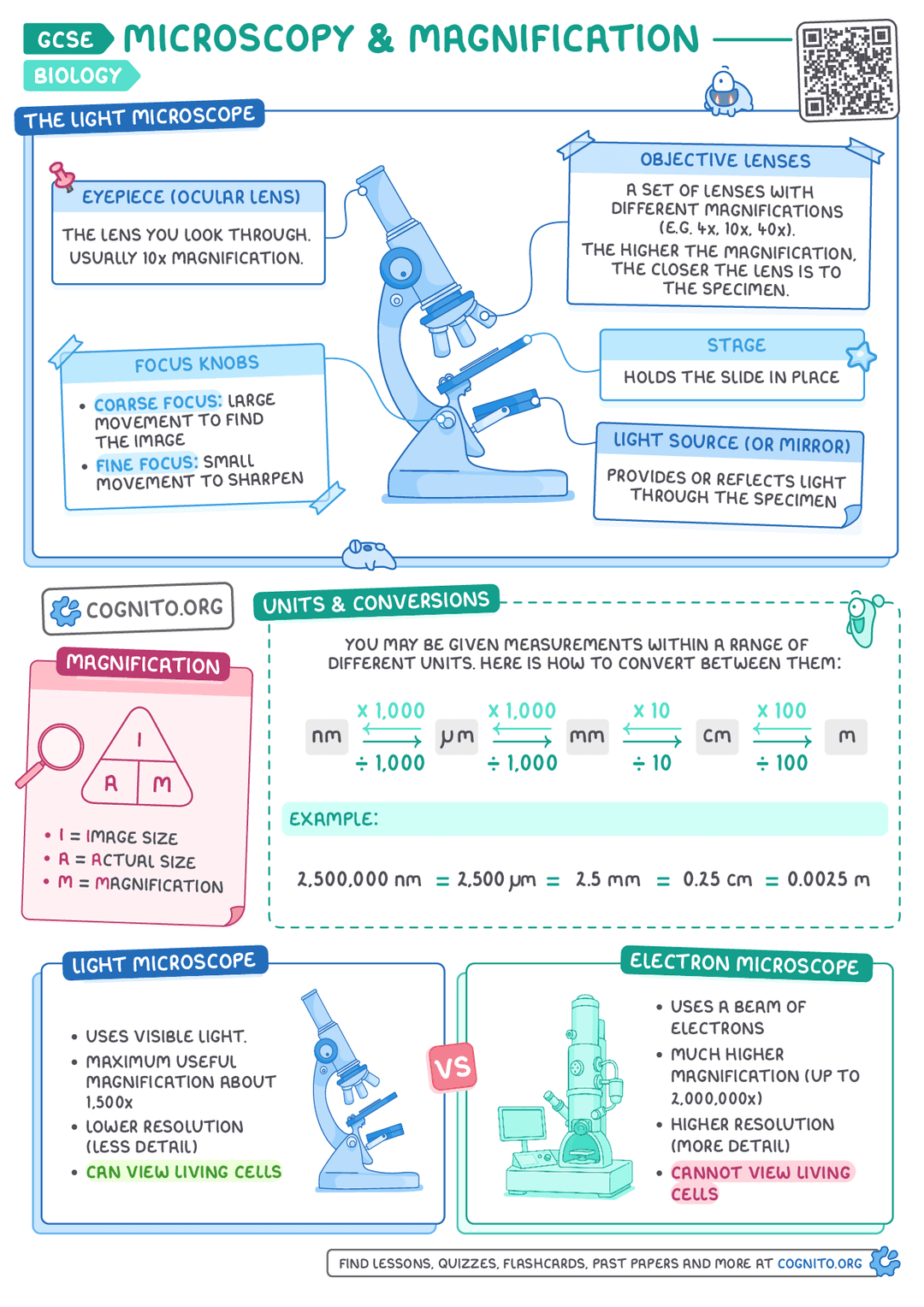 Microscopy & Magnification – GCSE Biology Cheat Sheet – Cognito